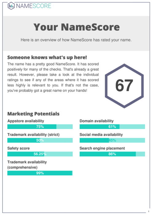 NameScore - NameRobot